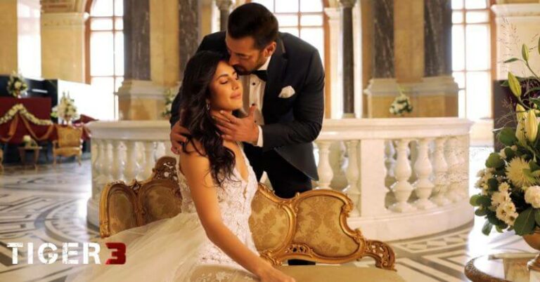 Tiger 3 Day 5 Box Office Collection: Salman Khan's Film Total Income Report