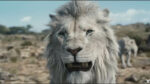 Mufasa: The Lion King Review: A Captivating Tale Of Legacy And Courage