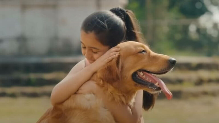 Dil Dosti Aur Dogs Review: A Heartwarming Tale Of Love, Friendship, And ...